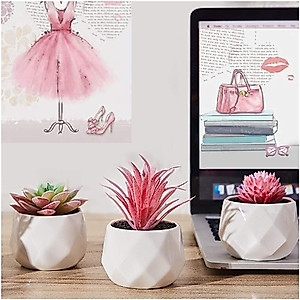 CADNLY Fake Succulent Plant Set - Artificial Desk Plants for Women Desk - Realistic Faux Succulents in Ceramic Pots - Mini Pink Decor for Bedroom Bathroom Office Shelf Decor