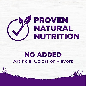 Wellness Complete Health Senior Dry Dog Food, Age Advantage, Deboned Chicken & Barley Recipe, 26 Pound Bag