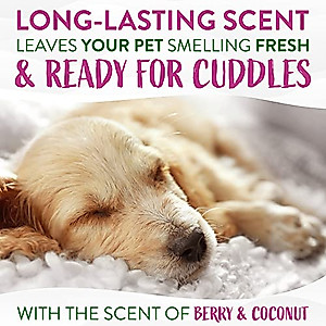 TropiClean Berry & Coconut Dog Wipes for Paws and Butt | Deep Cleaning Dog Grooming Wipes | Safe for The Face | Cat Friendly | 100 Count