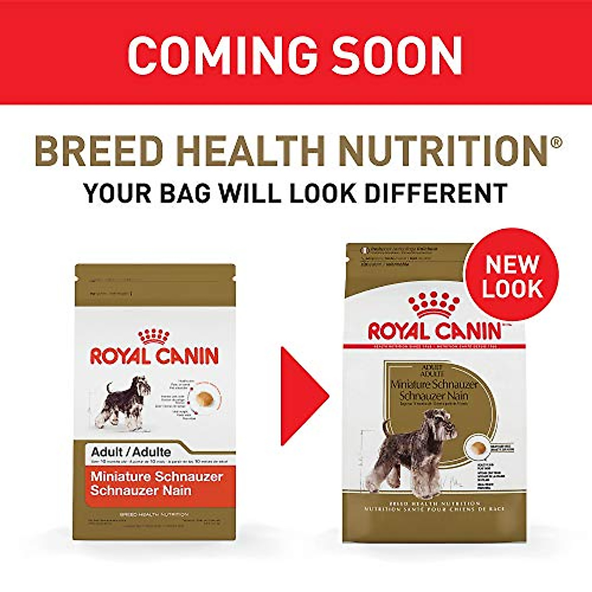 Royal Canin Miniature Schnauzer Adult Breed Specific Dry Dog Food, 10 lb bag