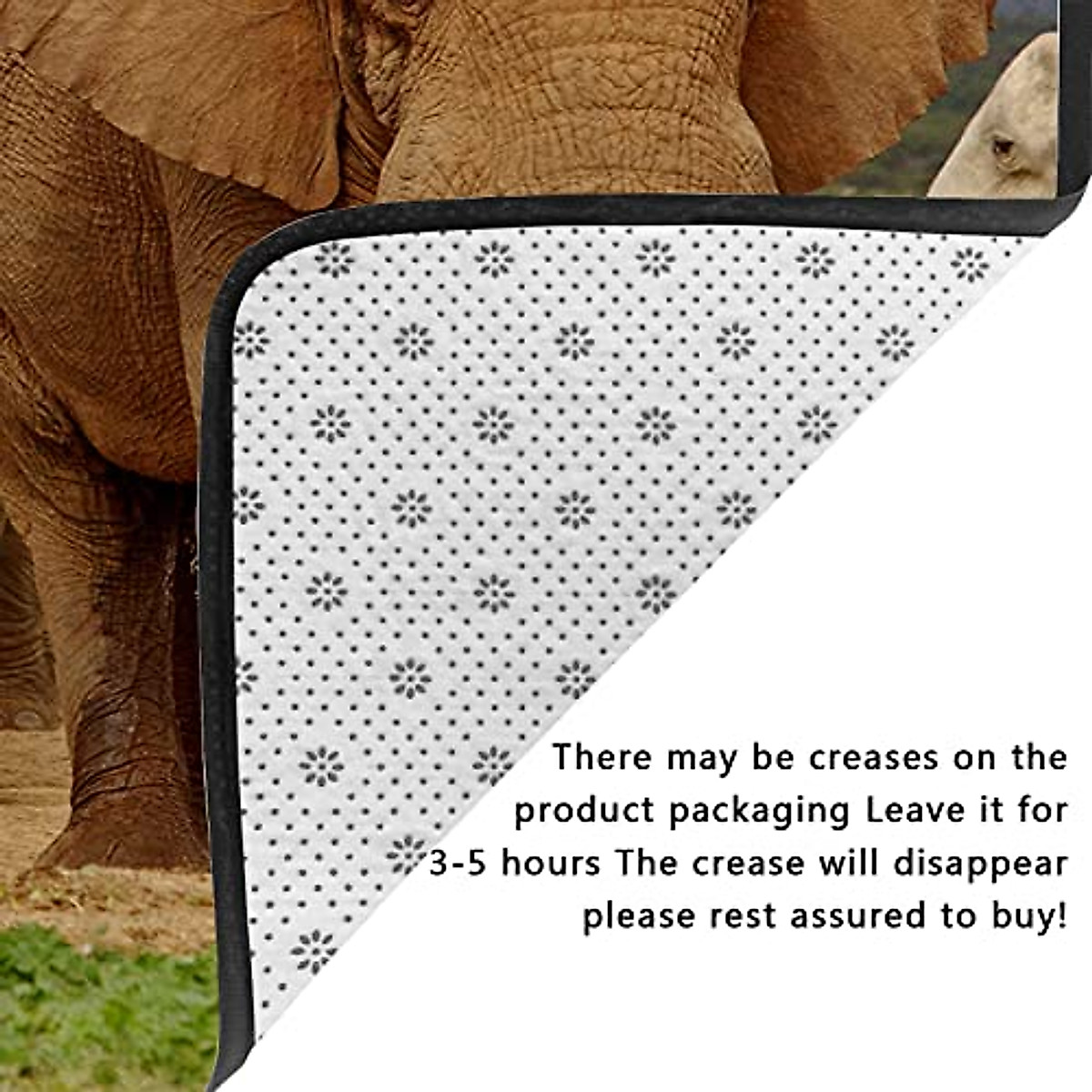 Washable Area Sponge Rug Mat for Kids Girls Boys Bedroom Living Room African Elephant, Exotic Jungle Wild Animal Non-Slip Carpet Super Soft Extra Thick Bathroom Dorm Home Indoor Small Floor Rugs