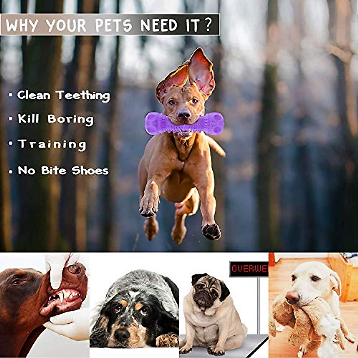 FRLEDM Dog Toys-Dog Toys for Large Dogs Aggressive Chewers,Toughest Natural Rubber Dog Bones Interactive Dog Toys for Dogs-Teeth Cleaning Chews for Large/Medium Breed Dogs