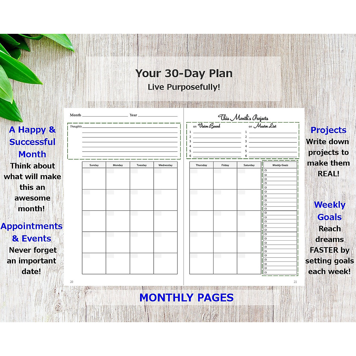 Gazelle Planner - Guided Daily Planning to Improve Organization, Time Management & Success. Daily, Monthly & Weekly Goals, 6 x 9 inches, 6 Month UNDATED Planner (Black)