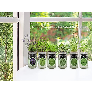Environet Hydroponic Herb Growing Kit, Self-Watering Mason Jar Herb Garden Starter Kit Indoor, Windowsill Herb Garden, Grow Your Own Herbs from Organic Seeds (Lavender)
