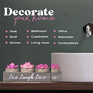 3 Small Fake Succulents Plants Artificial Rustic Centerpiece Box Faux Indoor Work Home Office Decor Women Cute Aesthetic Succulent Plant Desk Bedroom Coffee Table Decorations Living Room Dorm Décor