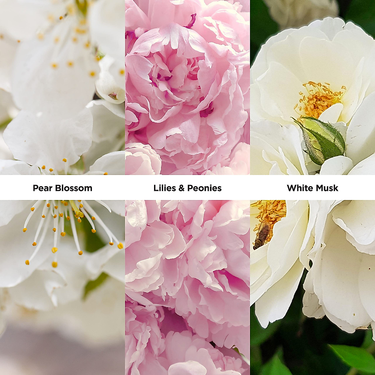 REVLON One Heart Body Mist, Fragrance for Women, 8 oz