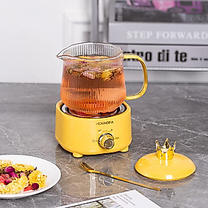 Morantica Hot Tea Maker Electric Glass Kettle with temperature control Automatic Shut off Brewing Programs for your favorite teas and Coffee (white)