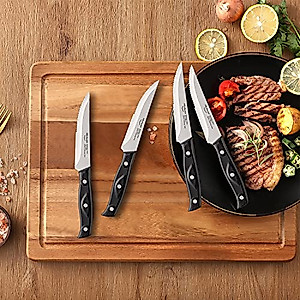 Mituer Steak Knives Steak Knife Set - Premium Stainless Steel Steak Knives set of 4