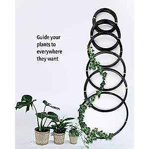 MoHern Bonsai Wire, 6 Sizes of 1mm, 1.5mm, 2mm, 2.5mm, 3mm, 4mm Black Aluminum Wire, Total 152 Feet Bonsai Tool Kit, 300 Grams Bonsai Tree Wire for Bonzai Trees Indoor