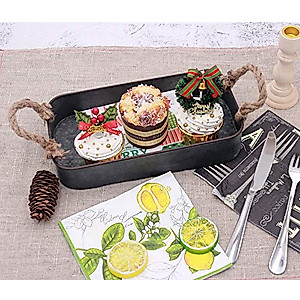 Funerom Rectangle Dark Galvanized Decorative Metal Serving Tray with Rust Finish and Rope Handles, (10.3X 5.5 in)