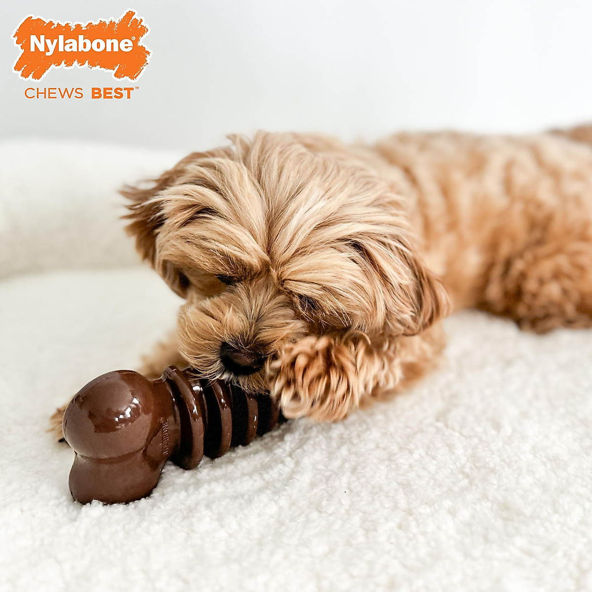 Nylabone Flexi Chew Chill & Chew Toy for Dogs with Treat Pockets Medley Flavor, Medium/Wolf - Up to 35 lbs. (1 Count)