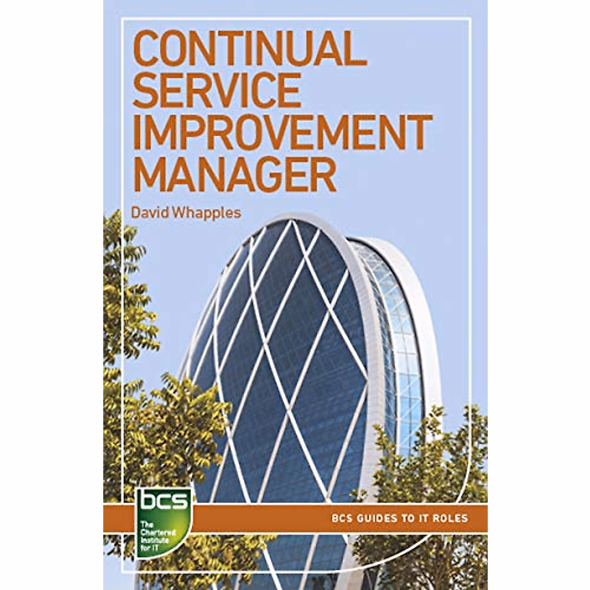 Continual Service Improvement Manager