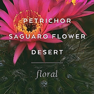 TOKYOMILK Sonoran Bloom Eau de Parfum, 1 fl. oz, 29.5 ml – Petrichor, Saguaro Flower, Agave & Red Clay – Desert Splendor Awakened, Women’s Perfume, Eau de Parfum Spray for Women