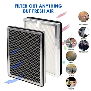 Flintar True HEPA Replacement Filter, Compatible with MA Air Purifier 25 Series, 3-in-1 Pre-filter, H13 True HEPA and Activated Carbon Filter Set, 2-Filters