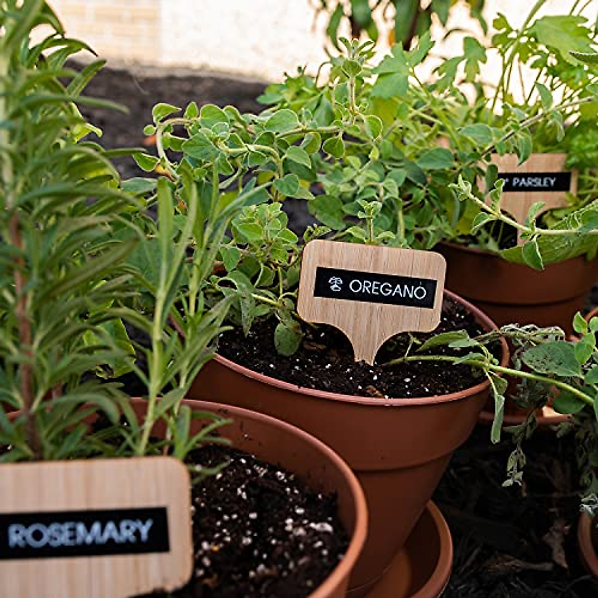 Brother P-Touch Pro Monochrome Label Maker (PT-H111)