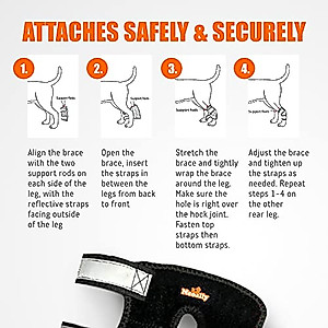 NeoAlly - 3-in-1 Short Rear Leg Hock Brace, Dog Leg Brace for Rear Leg with Rigid & Spring Inserts, Hock and Ankle Support, Dog Leg Sleeve with Reflective Straps, Small, 1 Pair