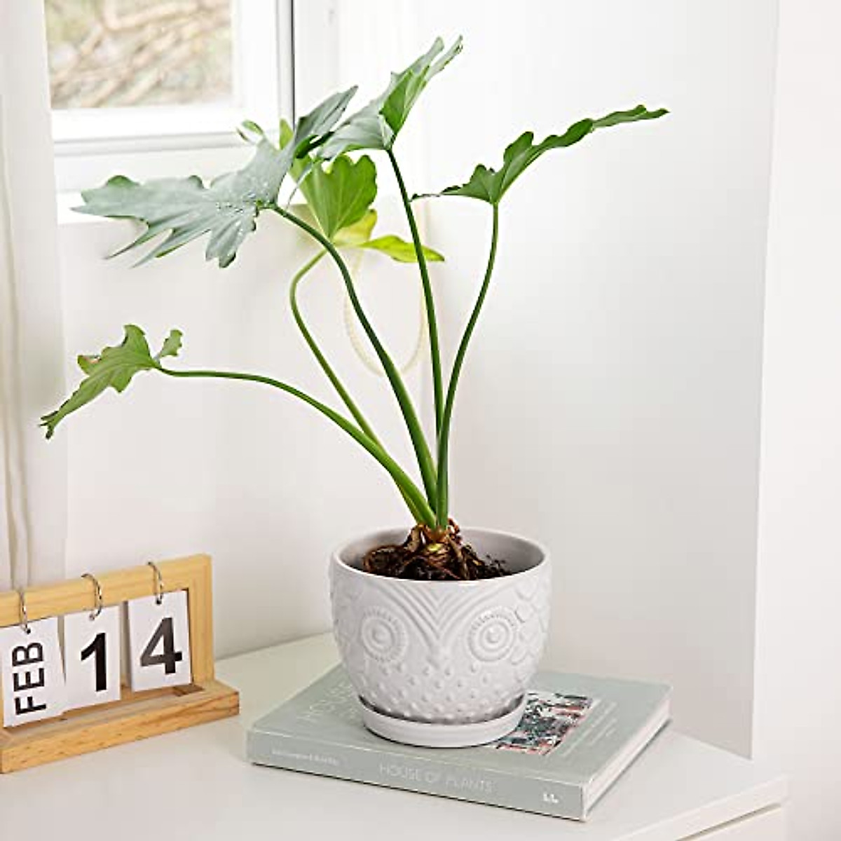 Greenaholics Owl Planters Ceramic Animal Plant Pots- 6.1 Inch White Succulents Aloe Planter Indoor Large Animal Flower Pots with Attached Tray and Drainage Hole for Cactus Snake Plant Decorative Gifts