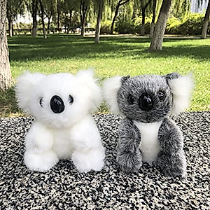 Gollicce 5" Plush Koala Bear Simulation Stuffed Animal Toy Doll