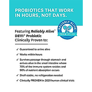 Zenwise Probiotic Digestive Multi Enzymes, Probiotics for Digestive Health, Bloating Relief for Women and Men, Enzymes for Digestion with Prebiotics and Probiotics for Gut Health - 100 Count