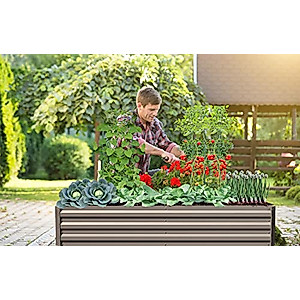 SONFILY Raised Garden Bed Metal Raised Garden Bed Outdoor Kit Garden Boxes Raised Galvanized Planter Raised Beds for Gardening Vegetables Fruit with 2pcs Tomato Cages,8x4x1ft,Brown