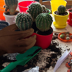 Kim Yuan Rose Pruning Gloves for Men and Women. Goatskin Leather Gardening Gloves