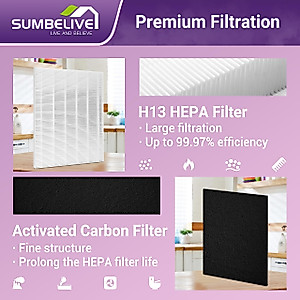C545 Replacement Filter for Winix C545 Air Purifier Filter S, 1 True HEPA Filter + 2 Activated Carbon Filters Part No. 1712-0096-00 and 2522-0058-00