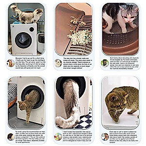 Self Cleaning Cat Litter Box, CATBOAT Scoop Free Automatic Cat Litter Box Smart with APP Control (2.4Ghz WiFi), Odor Removal, Safe Lock, Quiet Large Space for Cats Kitty Self Scooping Auto Litter Box