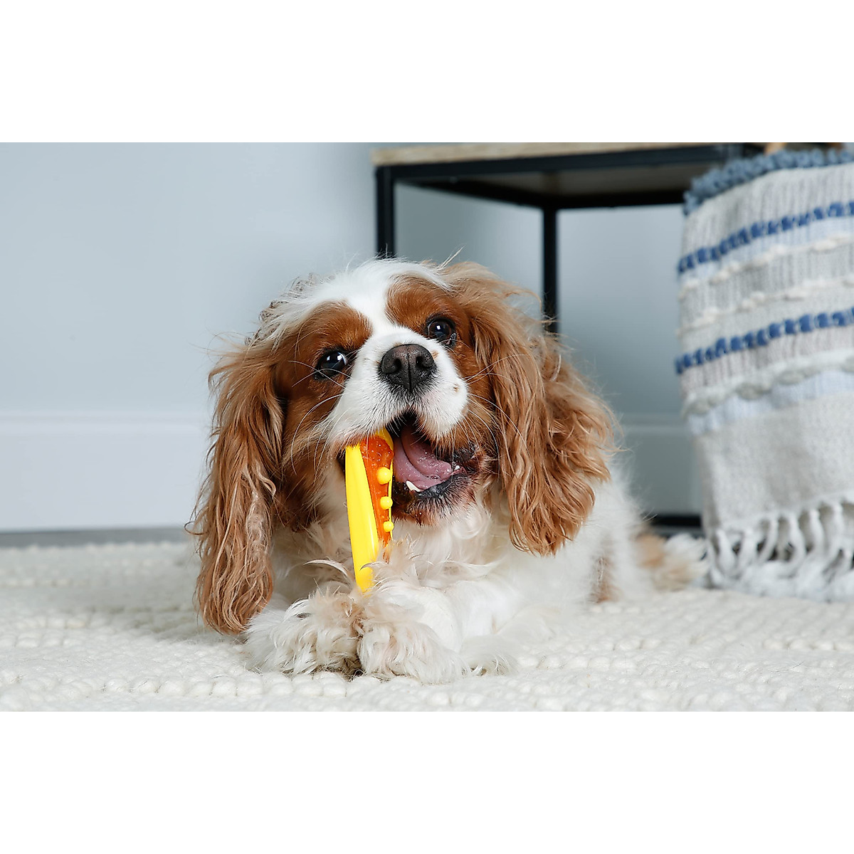 Hartz Chew 'n Clean Dental Duo Dog Treat & Chew Toy, Color Varies, Medium, 3 Pack