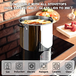 Cook N Home Stockpot Large pot Sauce Pot Induction Pot With Lid Professional Stainless Steel 24 Quart, with Stay-Cool Handles, silver