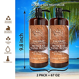 Dead Sea Collection Hand Soap Pump Coconut - Hand Wash Liquid with Dead Sea Minerals and Coconut Oil - All Skin Types Moisturizing & Nourishing - Pack of 2 (33.8 Fl Oz Each) - 67.6 Fl Oz