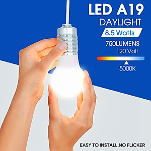 E ENERGETIC LIGHTING A19 Daylight LED Bulbs, 8.5W Llight Bulbs 60 Watt Equivalent, Non-dimmable, 6 Packs