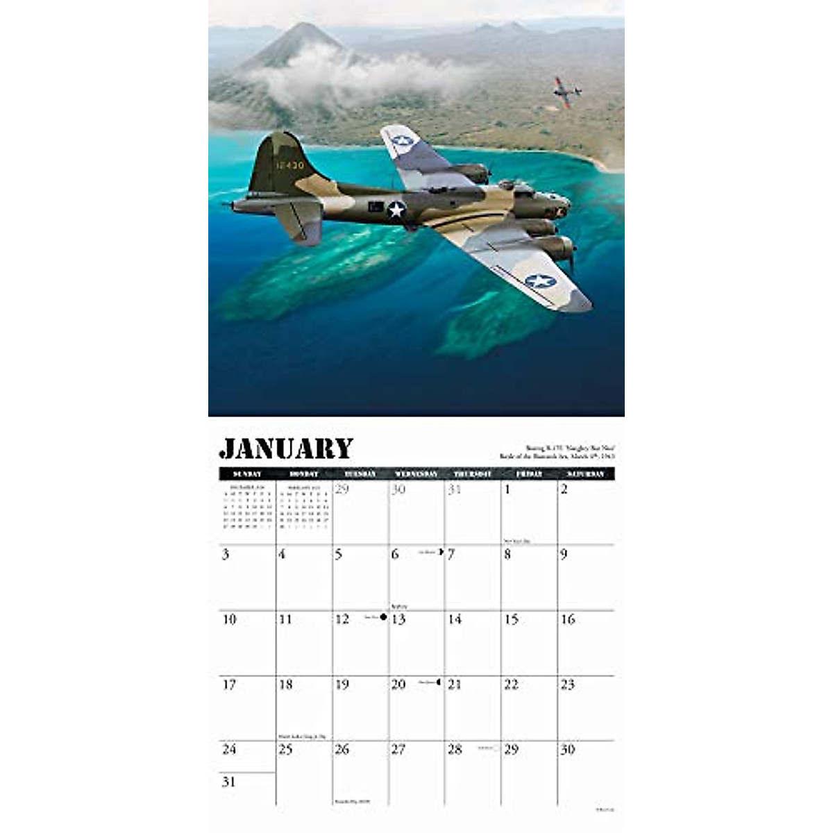 Warbirds of WWII 2021 Wall Calendar