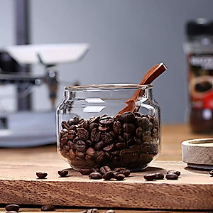 Tzerotone 8 Pcs Spice Containers - 8.5oz Glass Spice Jars With Acacia Airtight Lid and Labels - Stackable Empty Round Spice Bottles for kitchen Seasoning, coffee bean, tea, suger, herbs