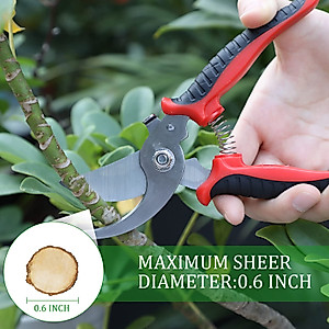 6 Pcs Garden Pruning Shears Bulk Heavy Duty Gardening Scissors Stainless Steel Blades Gardening Shears Handheld Bypass Garden Pruners Manual Plant Clippers for Flower Trimming Secateurs Gardening Tool