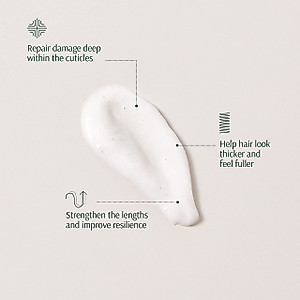 Tara Onion Remedy Rejuvenating Conditioner. Cruelty-Free: Thicken, Strengthen, and Lengthen with hydrolyzed keratin and collagen. Free from Parabens, Sulfates and Mineral Oils (8.4 Fl Oz)