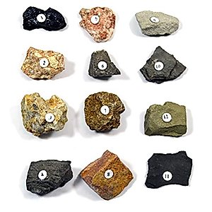 Eisco Metamorphic Rocks Kit - Contains 12 specimens Measuring Approx. 1" (3cm)