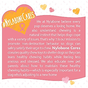 Nylabone Power Chew Breast Cancer Awareness Femur Bone Chew Toy for Dog, Indestructible Dog Toys for Aggressive Chewers, Chicken Flavor, X-Large/Souper (2 Count)