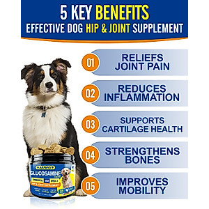 Joint Supplement For Dogs, Hip & Joint Health, Pain Relief, Mobility & Flexibility Support, Glucosamine, Chondroitin, MSM & Omega-3, Turmeric, Advanced Pet Vitamin (Chicken Flavor / 120 Chews)