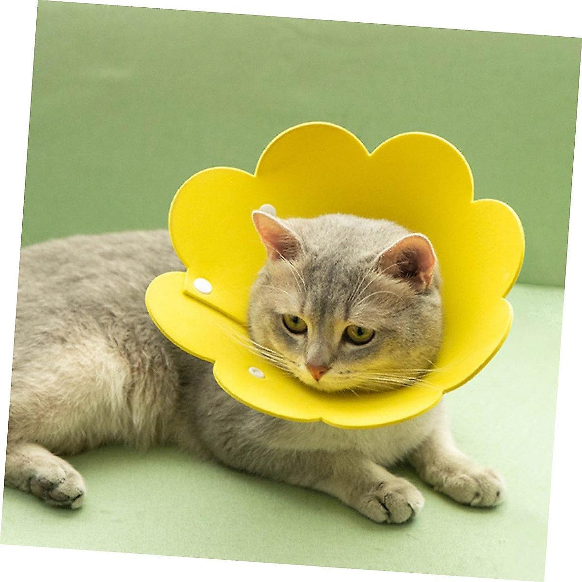 Balacoo 10 Pcs Sponge cat Headgear Chocker cat Cone Collar Soft cat Neck Collar Soft cat Cone cat Cones to Stop Licking Small cat Collar Decorative pet Neck Collar The cat eva pet Ball