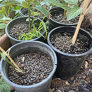 Flosage NPKure, 4-2-2 NPK, Chicken Manure Pellets, All-Purpose, All-Natural Fertilizer, Organic, Do Not Burn Roots, for Common Crops, 3 Pounds