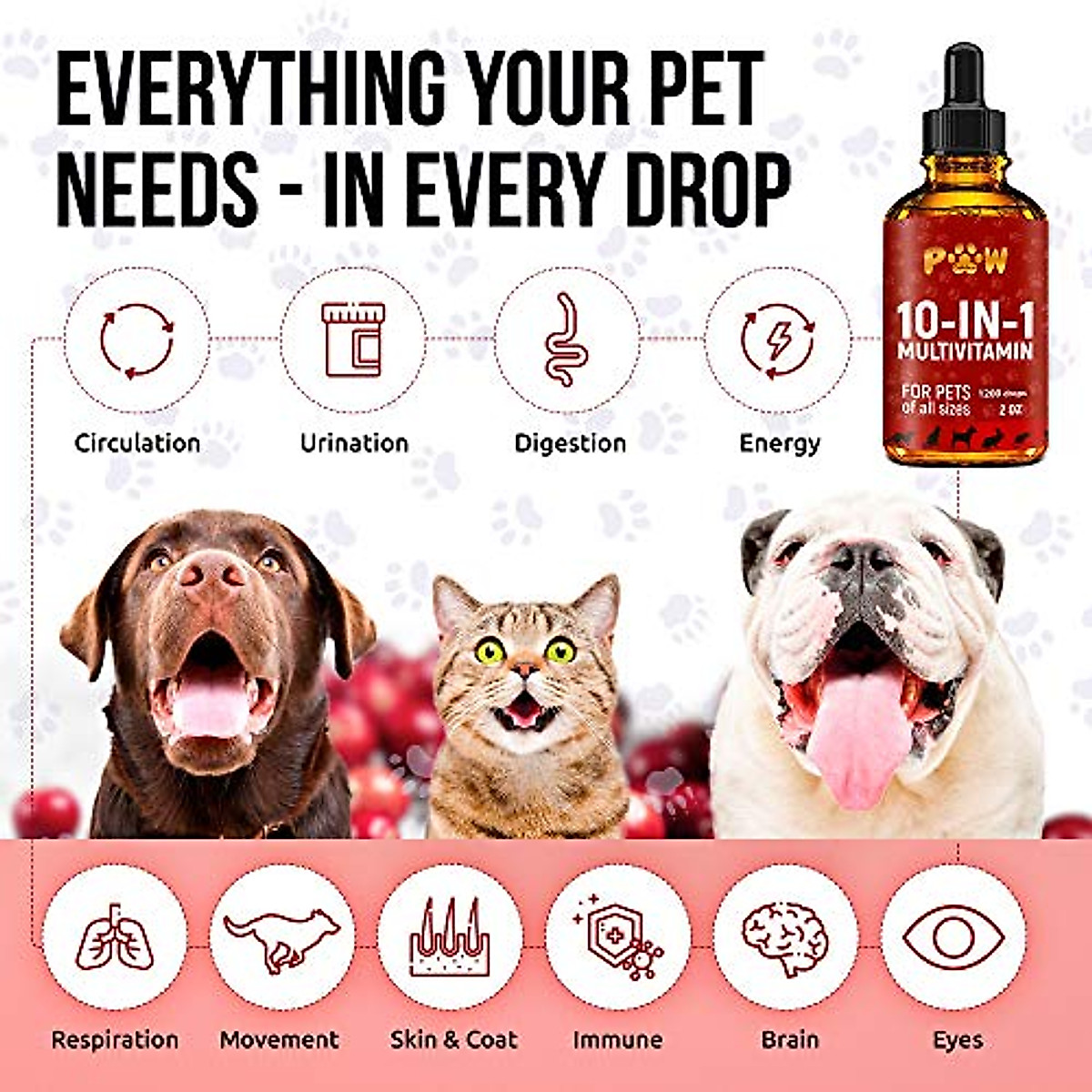 10 In 1 Cat & Dog Multivitamin - Hip & Joint Vitamins For Dogs + Vitamins C, D, B1-12 - Cranberry Supplement For Dogs & Cat Vitamins - Bladder, Kidney, Skin, Joint Support - Glucosamine Dog Supplement