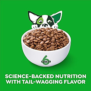 Greenies Smart Essentials Small Breed Adult High Protein Dry Dog Food Real Chicken & Rice Recipe, 13.5 lb. Bag