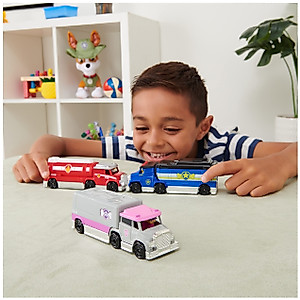 Paw Patrol, True Metal Chase, Marshall and Skye Collectible Big Truck Pups Toy Trucks (Amazon Exclusive) 1:55 Scale, Kids Toys for Ages 3 and up