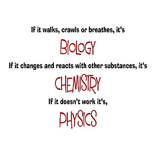 CafePress Funny PHYSICS 1 Mugs Ceramic Coffee Mug, Tea Cup 11 oz