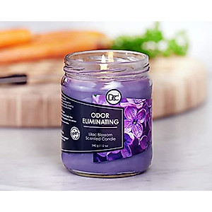 Lilac Blossom Odor Eliminating Highly Fragranced Candle - Eliminates 95% of Pet, Smoke, Food, and Other Smells Quickly - Up to 80 Hour Burn time - 12 Ounce Premium Soy Blend