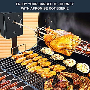 Apromise Rotisserie Motor - Universal Replacement Rotisserie Spit Motor with Waterproof On/Off Switch | Grill Rotisserie Motor Can Hold Up to 30 Pounds | 110 Volts & 4 Watt - Black