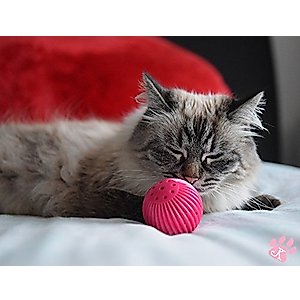 Pet Qwerks Cat Babble Ball with Catnip Infused, Interactive Cat Toy X-Small