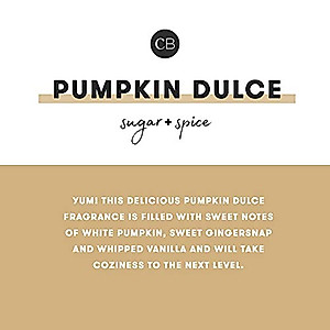 Capri Blue Holiday Mercury Signature Jar Candle - 19 Oz - Pumpkin Dulce