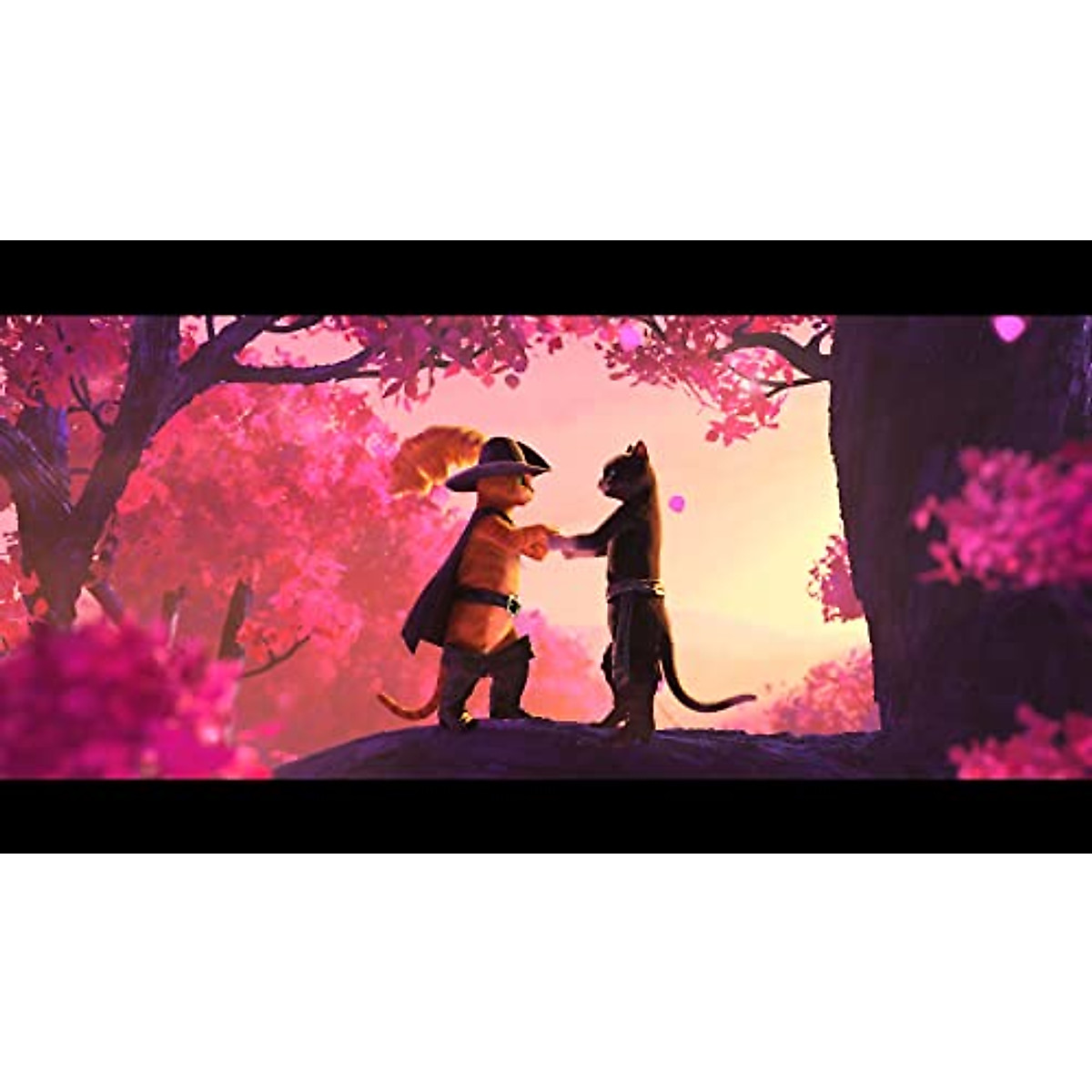 Puss in Boots: The Last Wish - Collector's Edition 4K Ultra HD + Blu-ray + Digital [4K UHD]