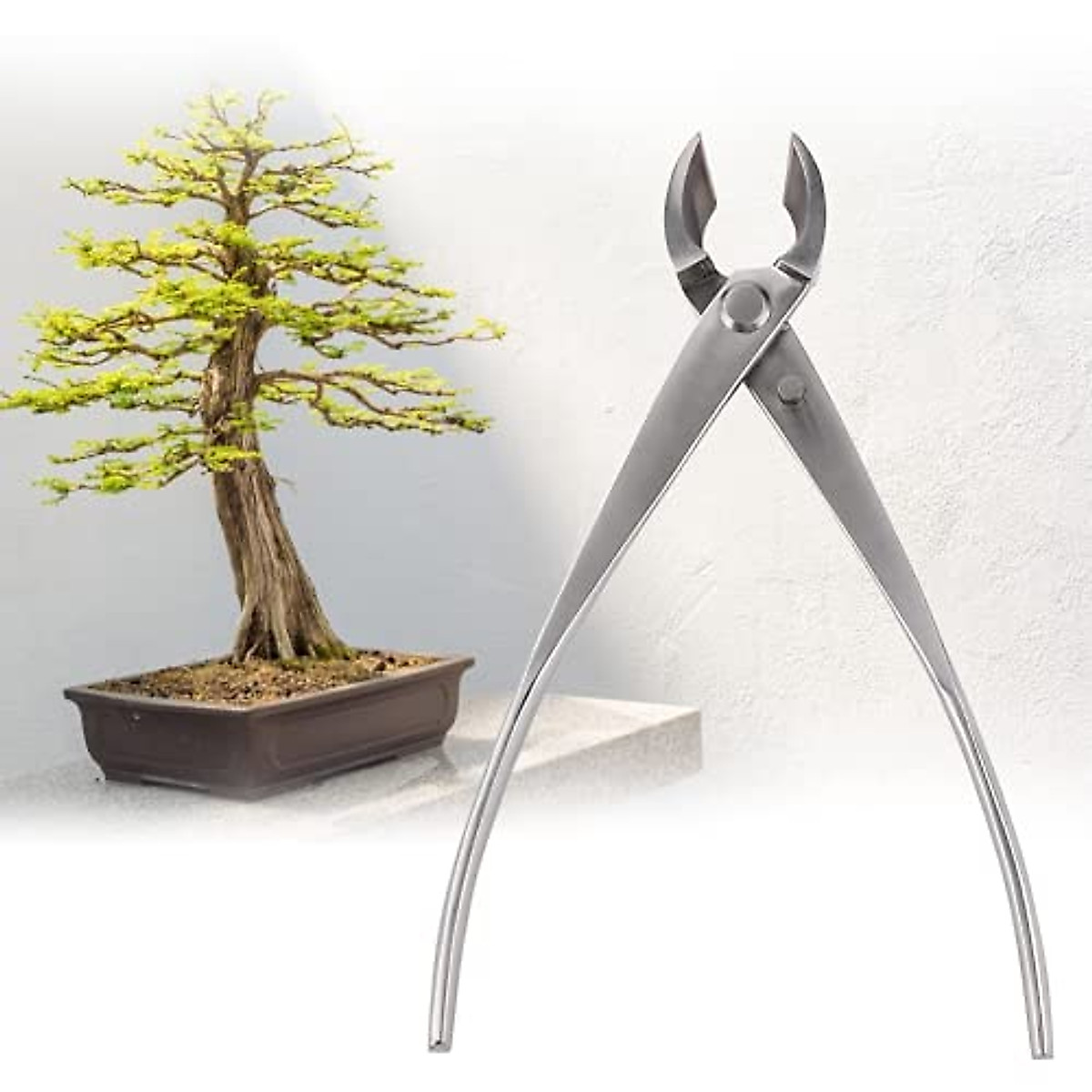FECAMOS Knob Branch Cutter, Knob Bonsai Cutter Strong Tenacity Branch Cutter Ergonomic Handles for Cutting Bonsai Tree Burl for Making Circular Cocave Incision